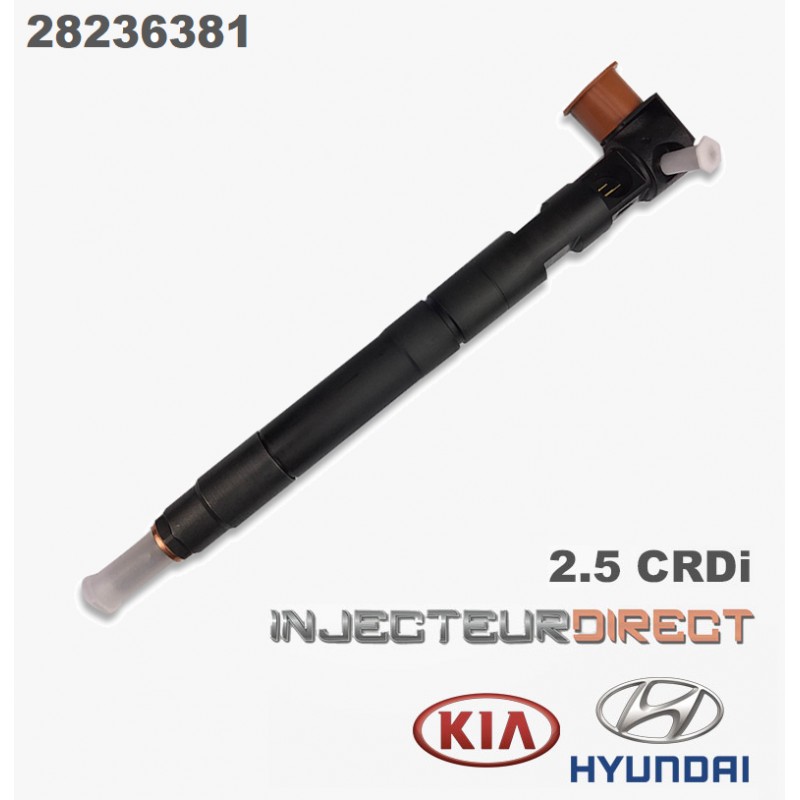 INJECTEUR DELPHI 28236381 - Injecteur Direct