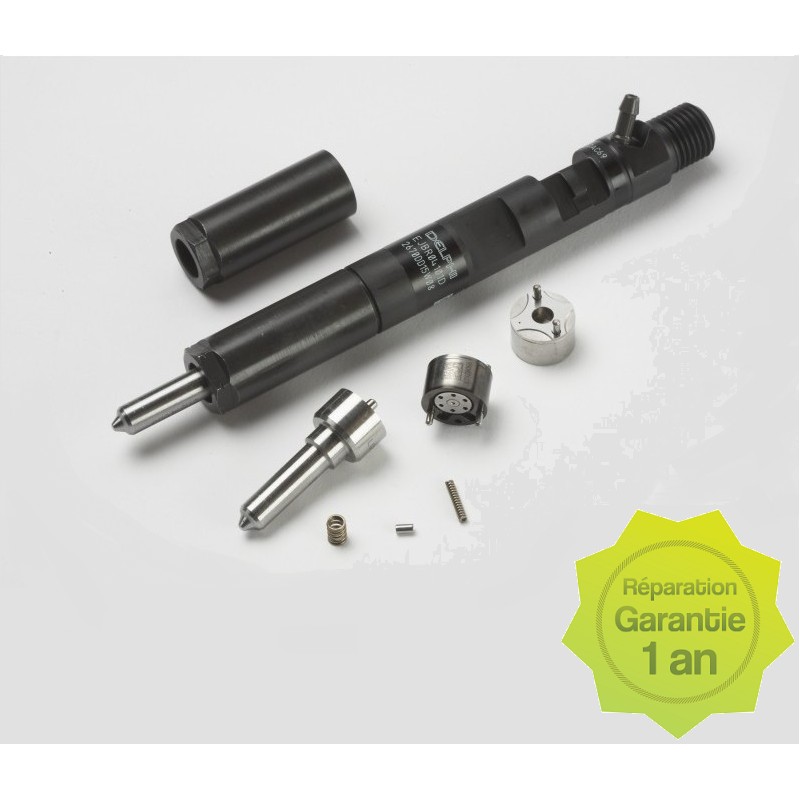 Réparation injecteur DELPHI 1.5 dCi - Injecteur Direct
